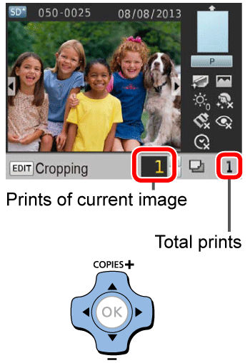 Printing from USB Flash Drives (SELPHY CP910)