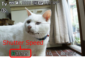 Setting the Aperture and Shutter Speed (PowerShot S120)
