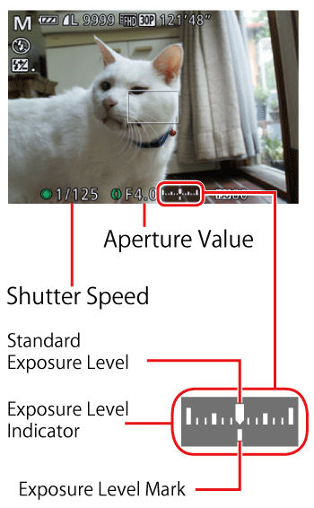 Setting the Aperture and Shutter Speed (PowerShot S120)