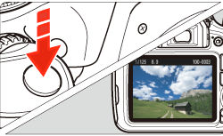 Live View Shooting (Photos) with the Default Settings (EOS REBEL T5/EOS ...