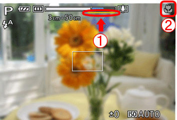 Shooting subjects up close (PowerShot SX700 HS)