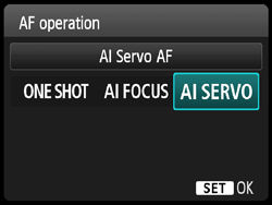 AF Modes: Differences between One-Shot AF, AI Servo AF, and AI Focus AF ...
