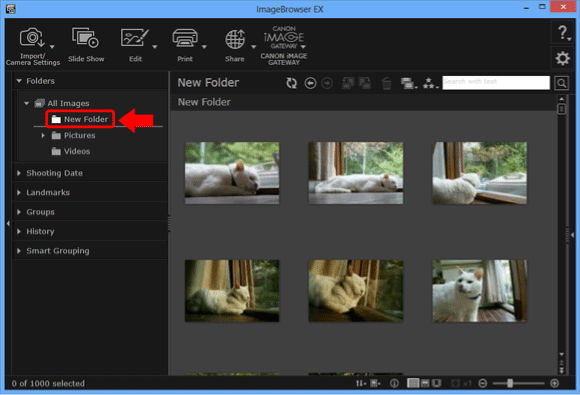 Image Files are not Displayed in ImageBrowser EX