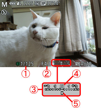 Setting the Aperture and Shutter Speed (PowerShot G1 X Mark II)