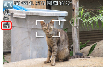 Shooting by Touching the Screen (Touch Shutter) (PowerShot G7 X)