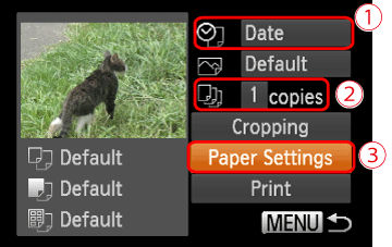 Printing from a Camera (Camera Direct Print) (SELPHY CP1300)