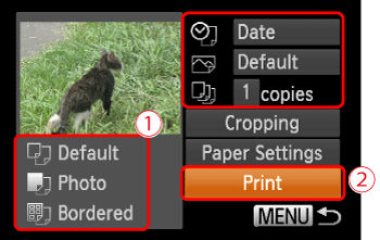 Printing from a Camera (Camera Direct Print) (SELPHY CP1300)