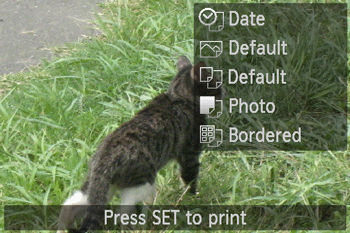 Printing from a Camera (Camera Direct Print) (SELPHY CP1300)