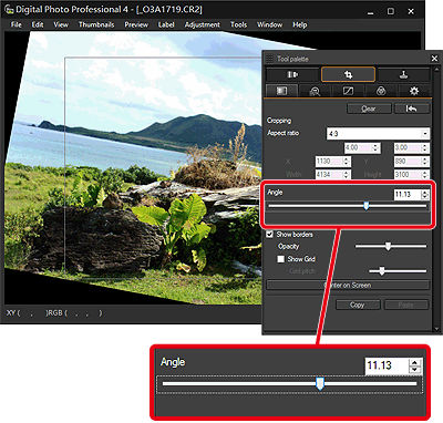 Crop or make angle adjustments using Digital Photo Professional Ver. 4.x