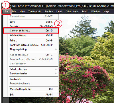 How to Convert RAW Images to JPEG or TIFF Using Digital Photo ...