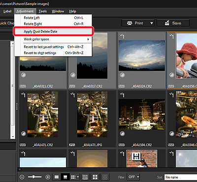 How to erase dust spots in an image with Digital Photo Professional Ver ...