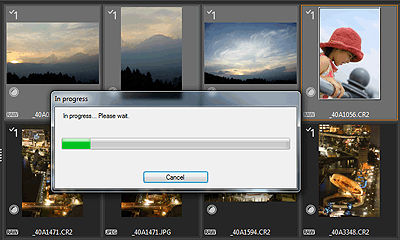 How to erase dust spots in an image with Digital Photo Professional Ver ...