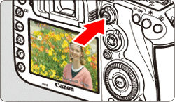 Shoot videos with your EOS 7D Mark II