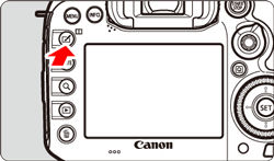 Shooting Multiple Exposures (EOS 7D Mark)
