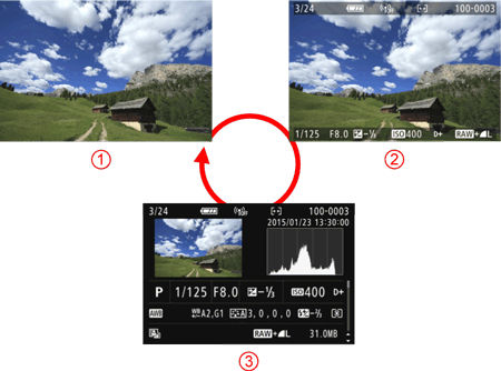 Image Playback with the Camera
