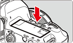 AF Modes: Differences between One-Shot AF, AI Servo AF, and AI Focus AF ...
