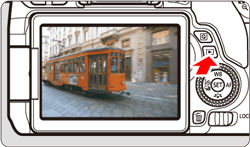 Image Playback with the Camera