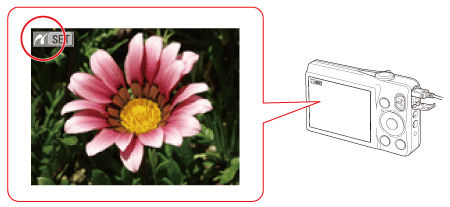 Printing from a Camera (Camera Direct Print) (SELPHY CP1300)