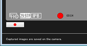 Using the Remote Live View Function in EOS Utility 3.x to Shoot Still ...