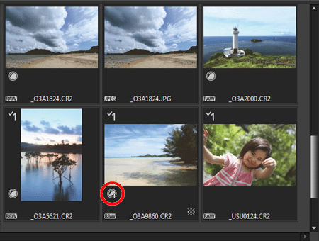 Using the Digital Lens Optimizer in Digital Photo Professional Ver.4.x