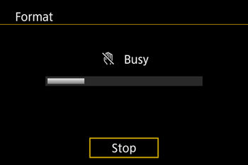 Formatting a Memory Card