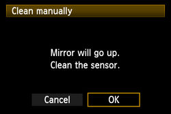 Manual Sensor Cleaning (EOS REBEL T1i/EOS 500D)