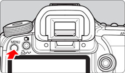 Manual Sensor Cleaning (EOS 50D)