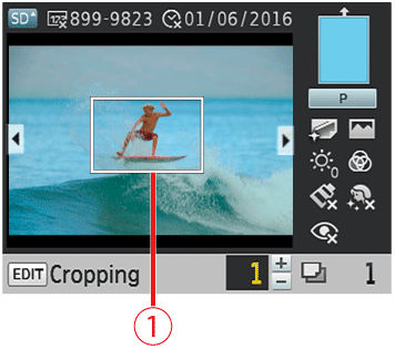 What to Do When Images are Cut Off or Cropped on the Prints ( SELPHY ...