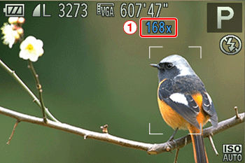 Zooming in Closer on Subjects when Shooting (PowerShot SX420 IS)