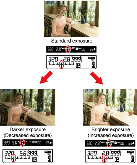 Adjusting Photo Brightness/Setting Exposure Compensation (EOS 80D)