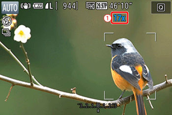 Shooting the subject at the largest zoom factor (PowerShot G7 X Mark II)