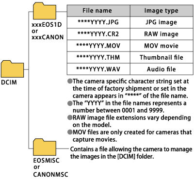 Using a Card Reader or a Card Slot on a Computer to Download Images