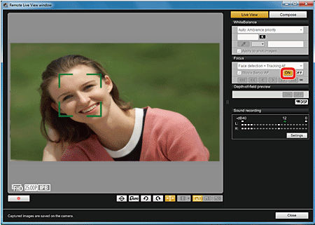 Using the Remote Live View Function in EOS Utility Ver.3.x to Shoot ...