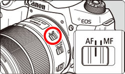 Using the Remote Live View Function in EOS Utility 3.x to Shoot Still ...