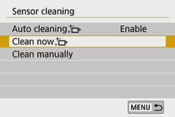 Automatic Sensor Cleaning (EOS REBEL SL2 / EOS 200D)
