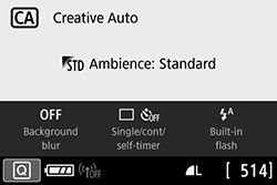 Changing the LCD Monitor Display Level Settings (EOS REBEL SL2 / EOS 200D)