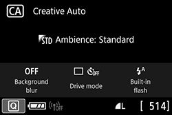 Changing the LCD Monitor Display Level Settings (EOS REBEL SL2 / EOS 200D)