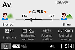 Changing the LCD Monitor Display Level Settings (EOS REBEL SL2 / EOS 200D)