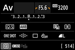 Changing the LCD Monitor Display Level Settings (EOS REBEL SL2 / EOS 200D)