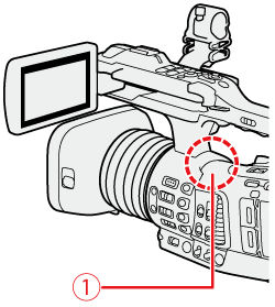 Browser Remote: Controlling the Camcorder from a Network Device (XF705)