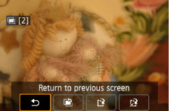 Multiple Exposures (EOS 90D)