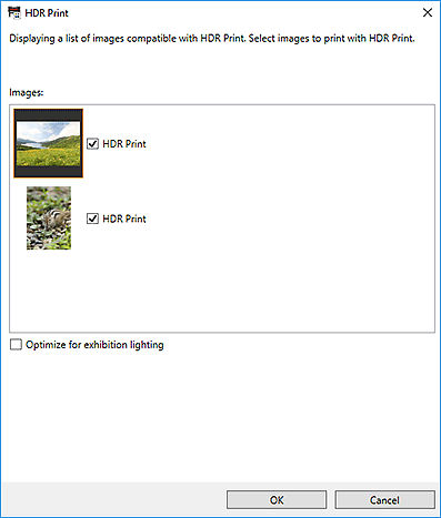 Professional Print & Layout - HDR Print (Windows)