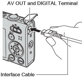 How to connect the PowerShot SD770 IS to a computer.