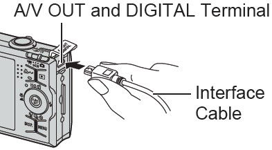 How to connect the PowerShot SD790 IS to a computer.