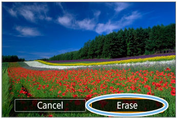 Erasing images on the EOS Rebel SL3.