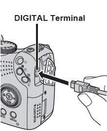 How to connect the PowerShot SX20 IS to a computer.