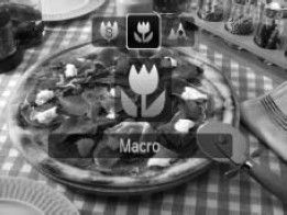 Setting close-up ( Macro / Super Macro) modes using the PowerShot SX20 ...