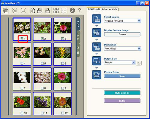 Scanning Film (9950F)