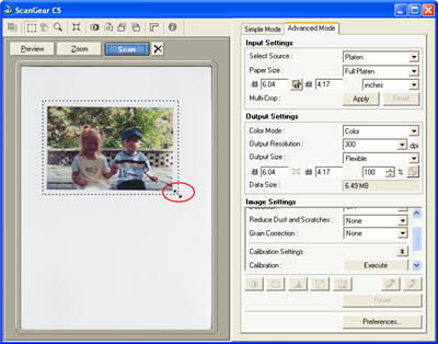 How to crop an image prior to the final scan