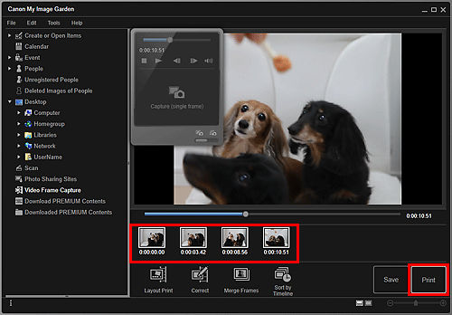Capture and print images from a video using My Image Garden - Windows